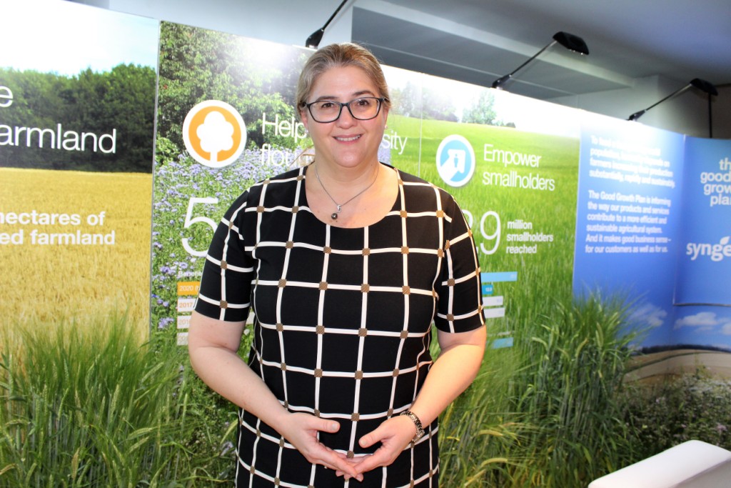 Syngenta desenvolve acções para o futuro da agricultura sustentável ...