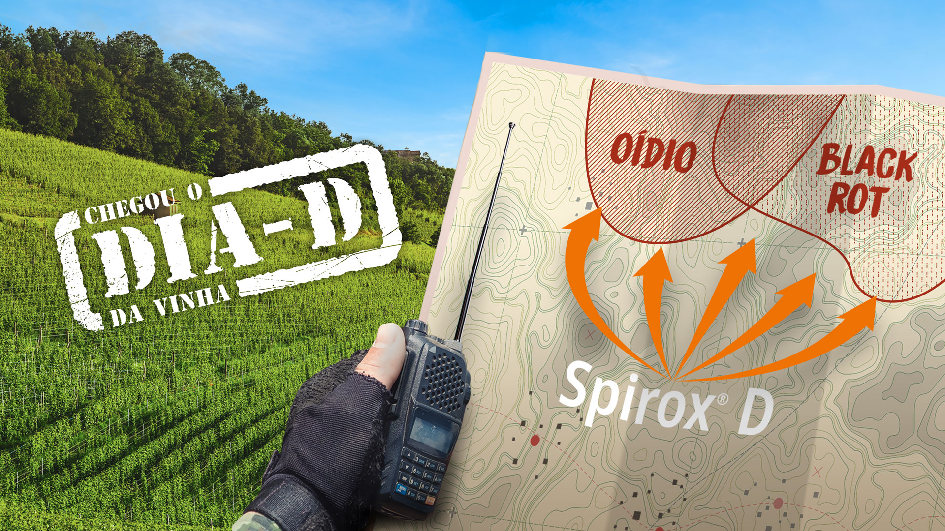 UPL lança fungicida para vinha Spirox D - FLFRevista