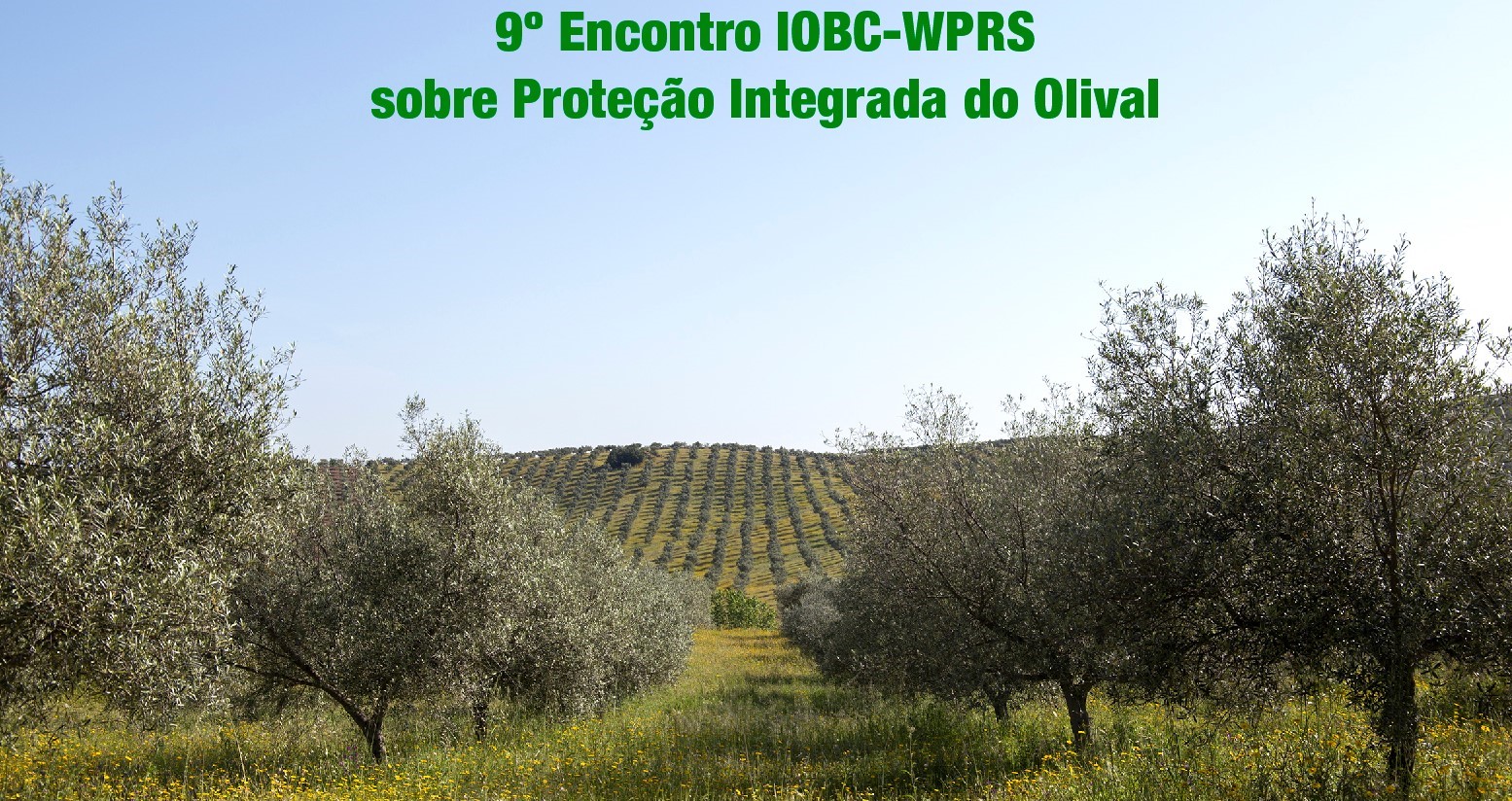 Cientistas apresentam em Lisboa últimos avanços na protecção integrada ...