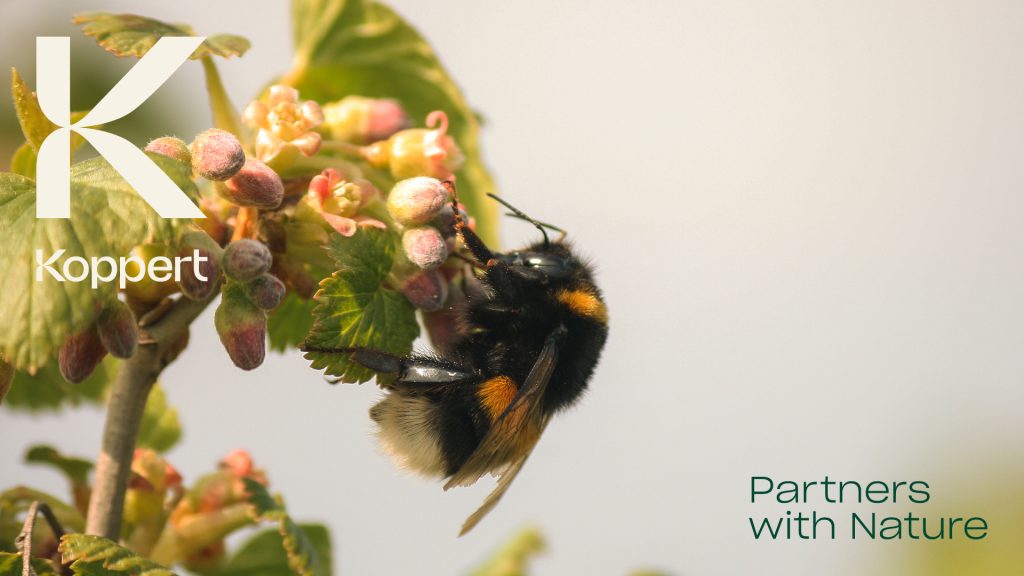 Koppert apresenta nova imagem corporativa inspirada na natureza ...